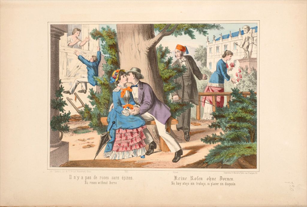 Il n'y a pas de roses sans épines. (titre inscrit, français, allemand ...